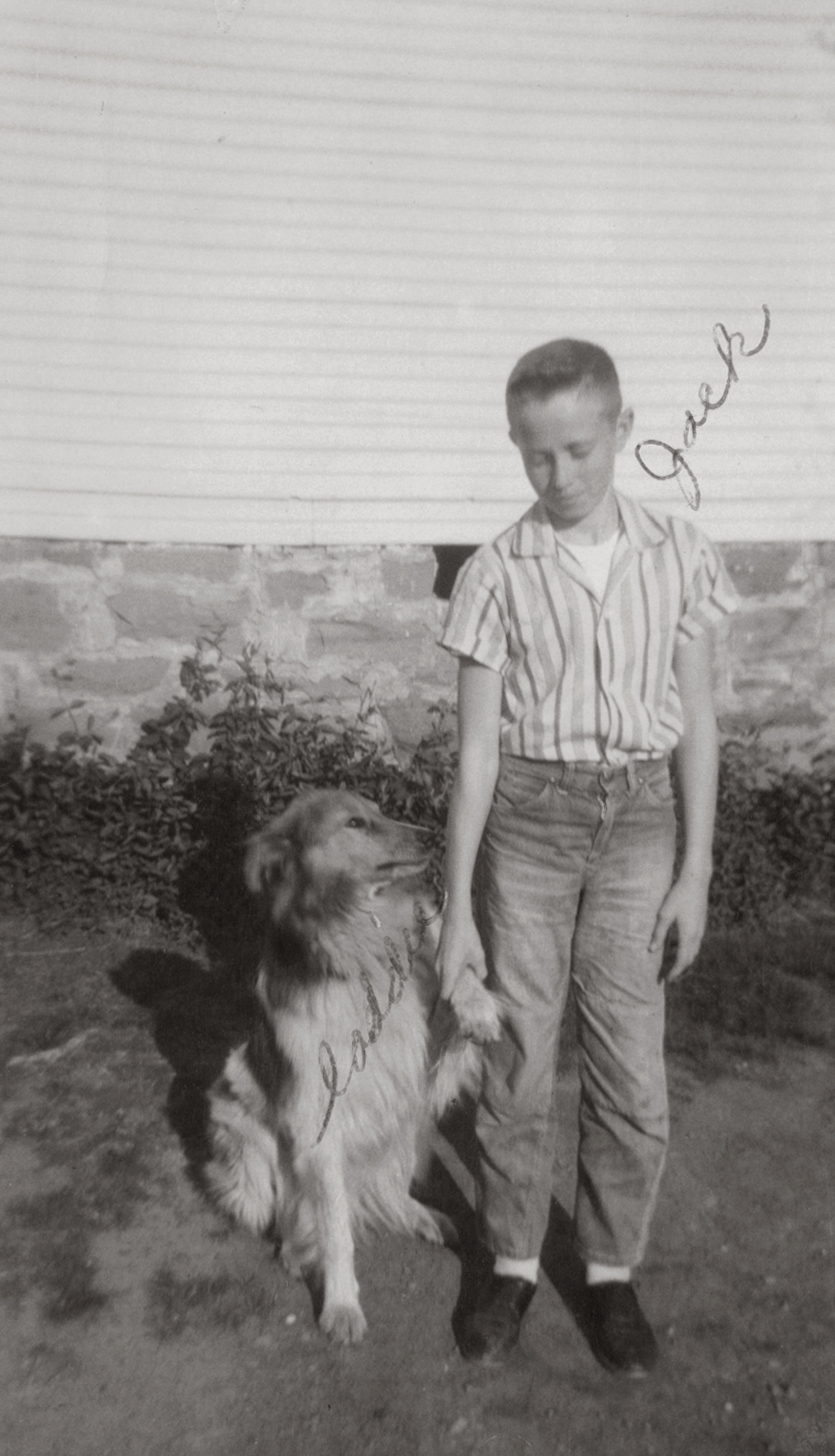 Jack with dog – Wilson Family Album