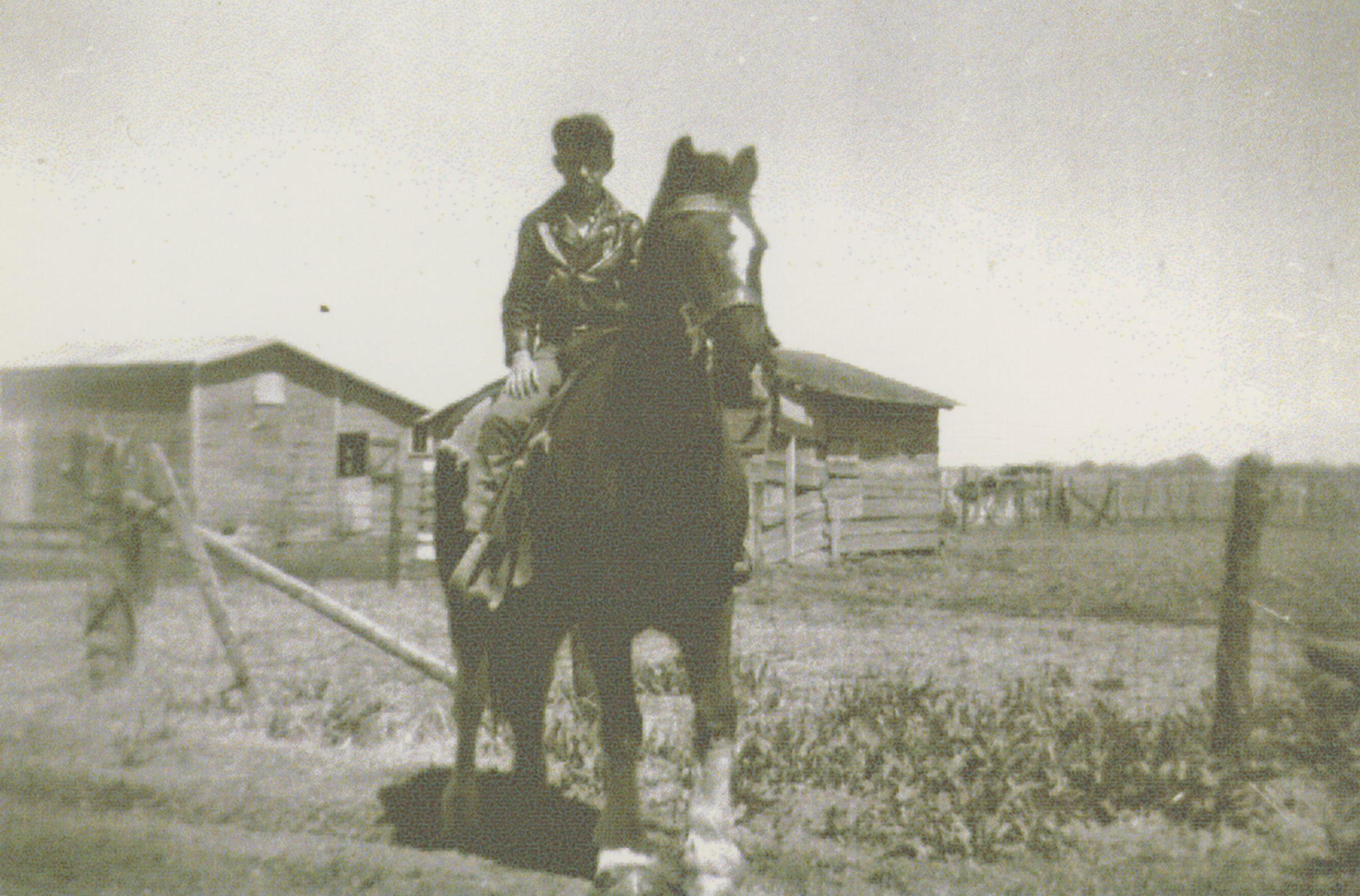 Don Gilbert on Martine the horse – Wilson Family Album