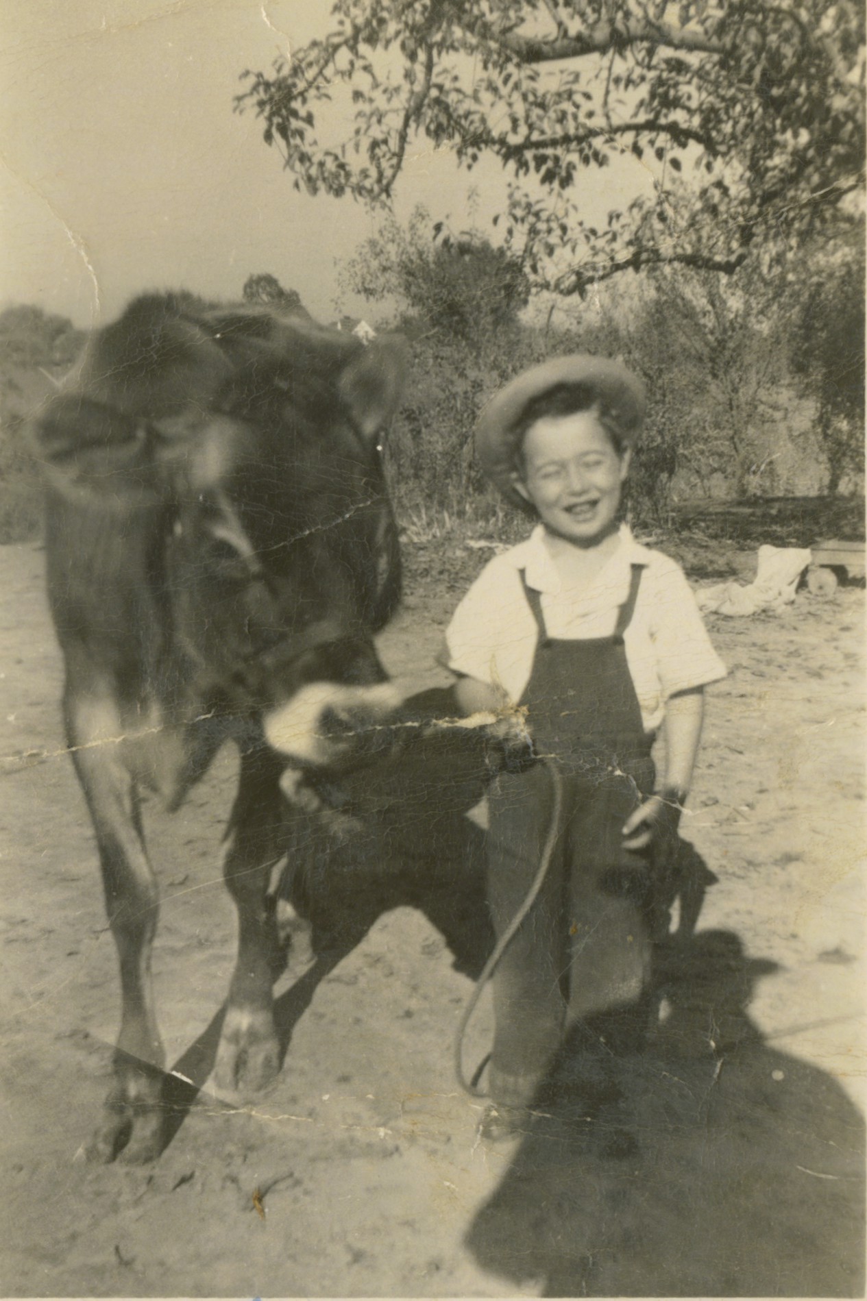 Wayne with Betsy the cow – Wilson Family Album