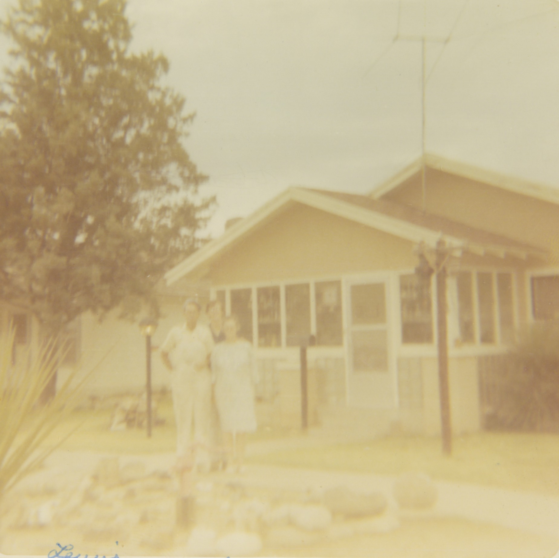 Les and Estelle Lewis – Wilson Family Album